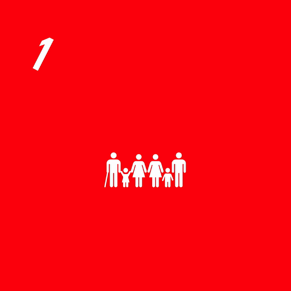 SDG SUSTAINABLE DEVELOPMENT GOALS BALEARIC ISLANDS-00 SGD